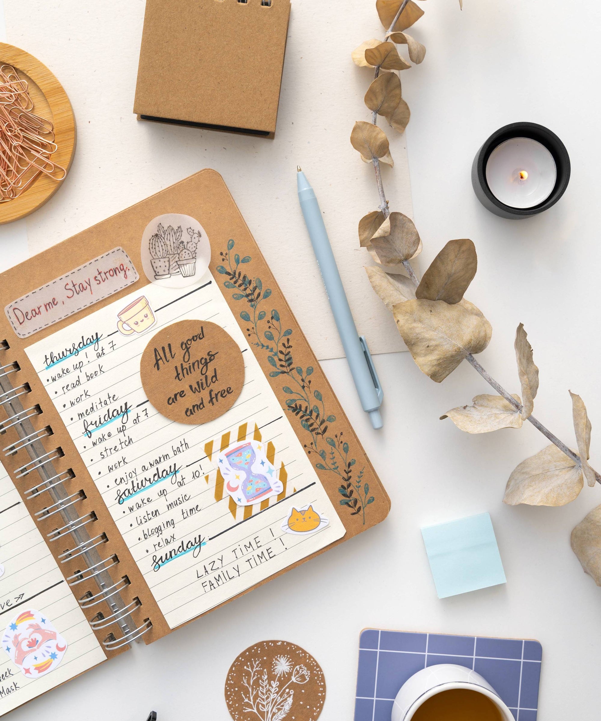 Journal Carnival