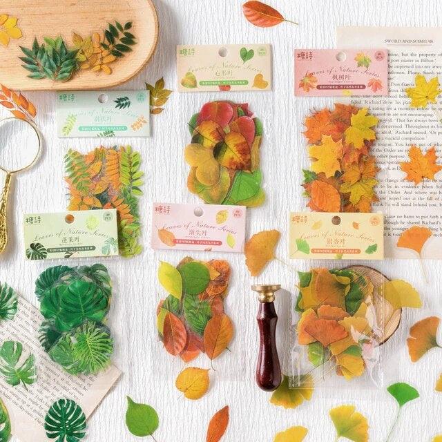 Leaf Theme Stationery | Nature Stickers, PET Tapes & Leaf Prints